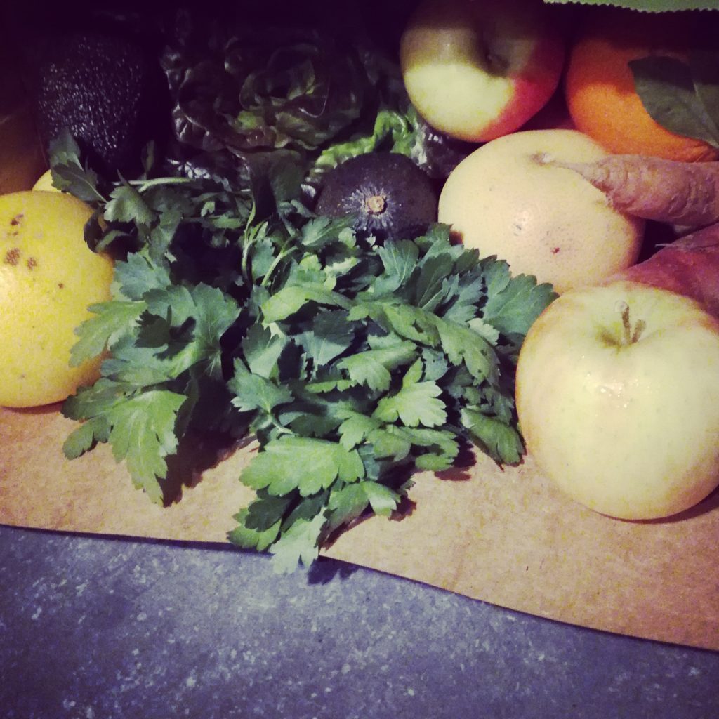 Potager City : test d'une box et mon avis ! - blogdemere.fr